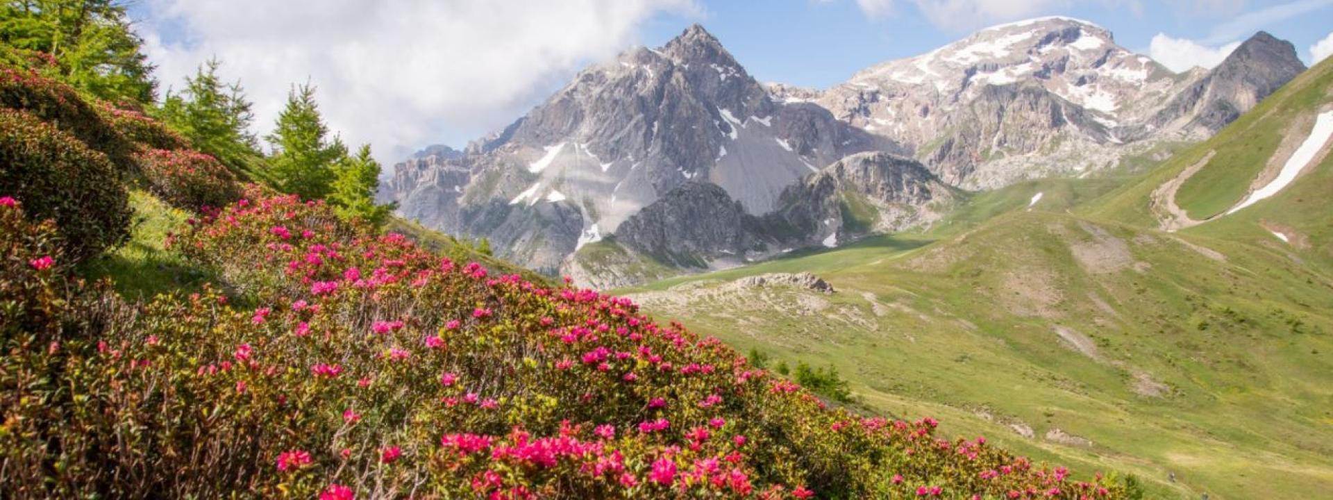 Serre Chevalier Vallée Réservation | Serre Chevalier Vallée Briançon