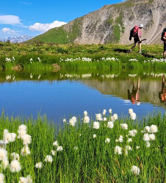 Arielle Raguideau Sentiers Nature