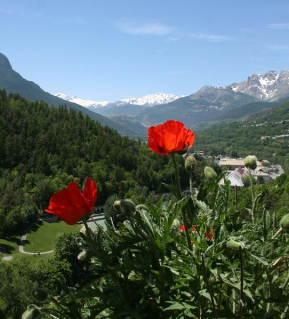 Garden of the Governor