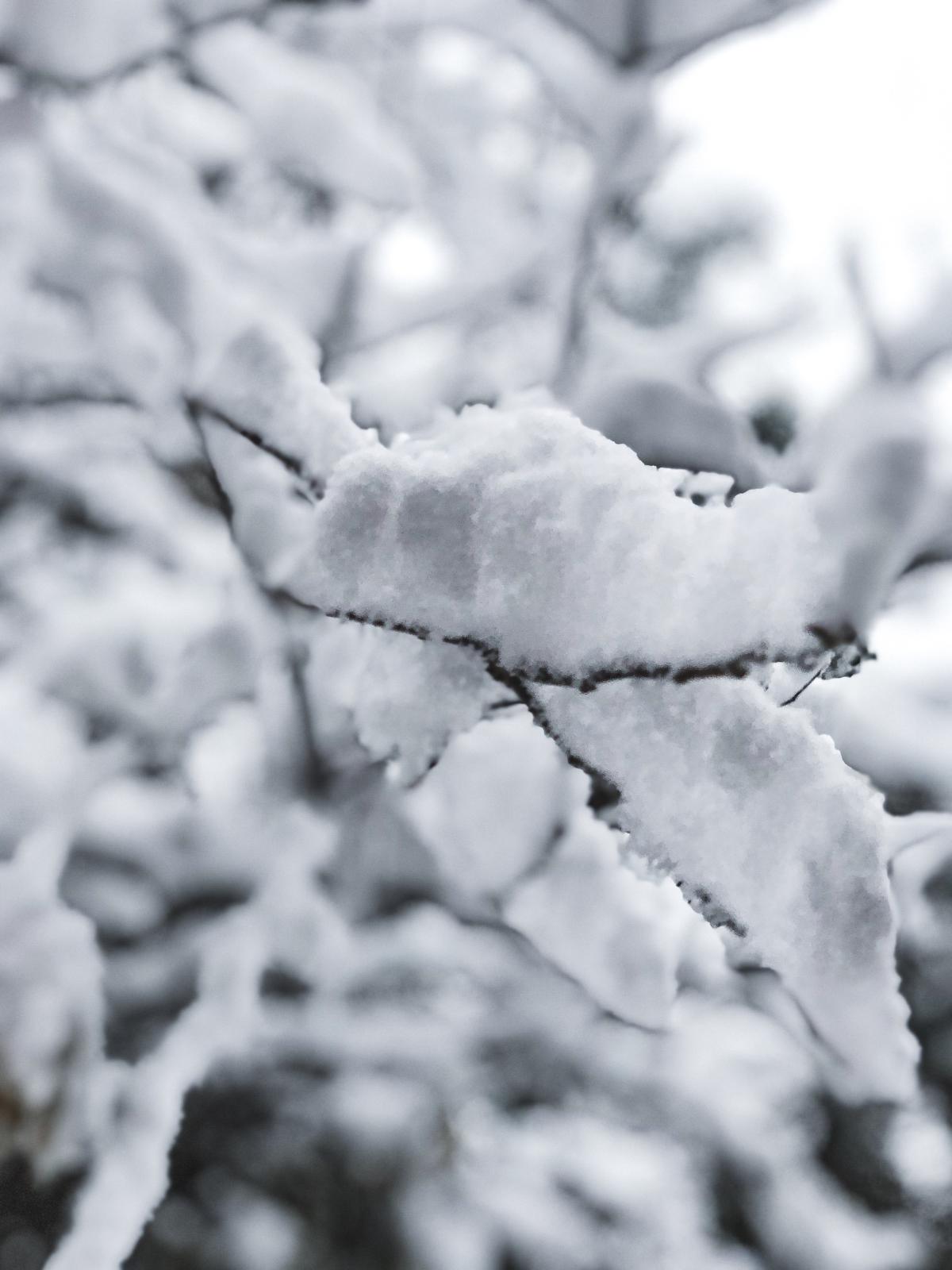 Zen Altitude | Serre Chevalier Vallée Briançon