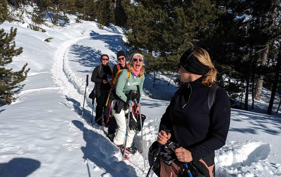 Montania Montania - Johan Mus